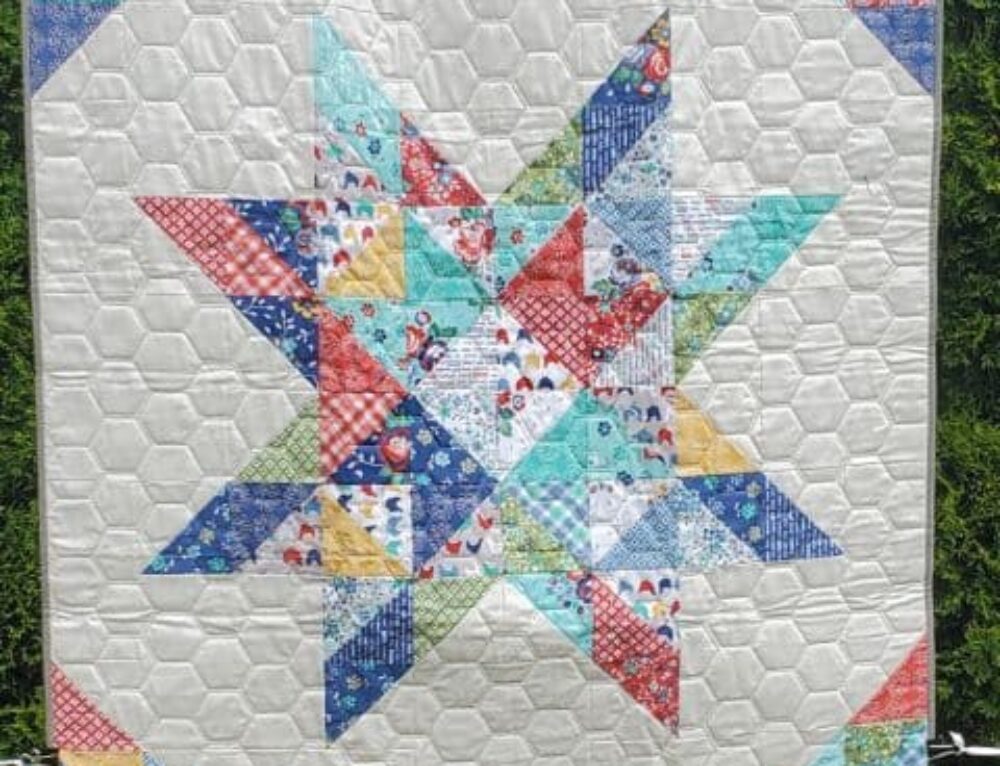 #237 - Birdsong Sawtooth Quilt - Longarm Louise